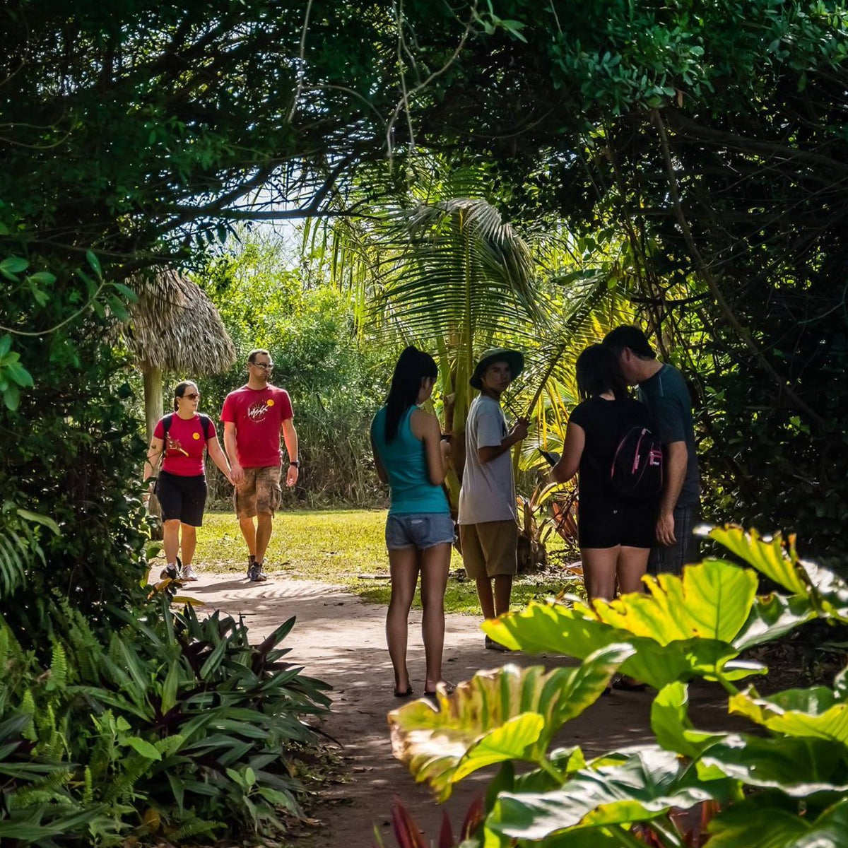 Everglades National Park Private Airboat Tour - 60 Minute – Everglades ...